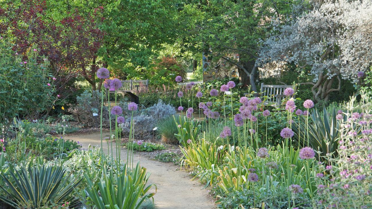 UC Davis Arboretum and Public Garden - Ruth Risdon Storer Garden