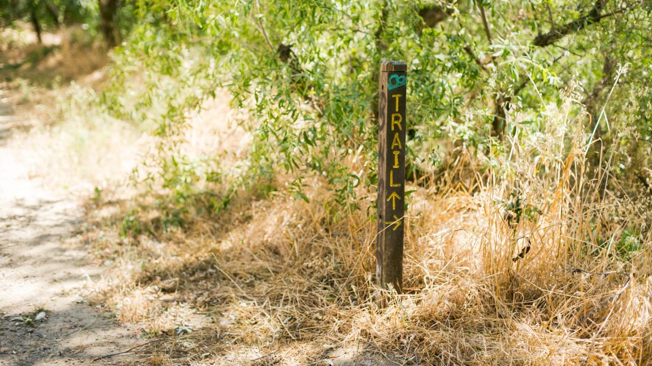 Trailheads and Maps | UC Davis Arboretum and Public Garden