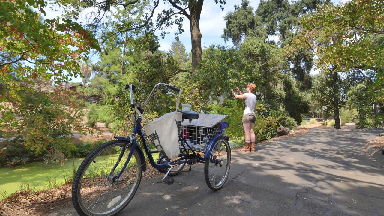 Research | UC Davis Arboretum and Public Garden