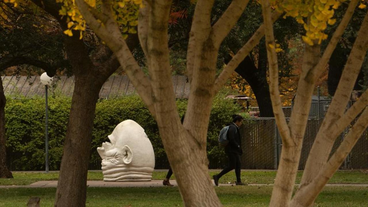 Grounds and Landscape Services | UC Davis Arboretum and Public Garden