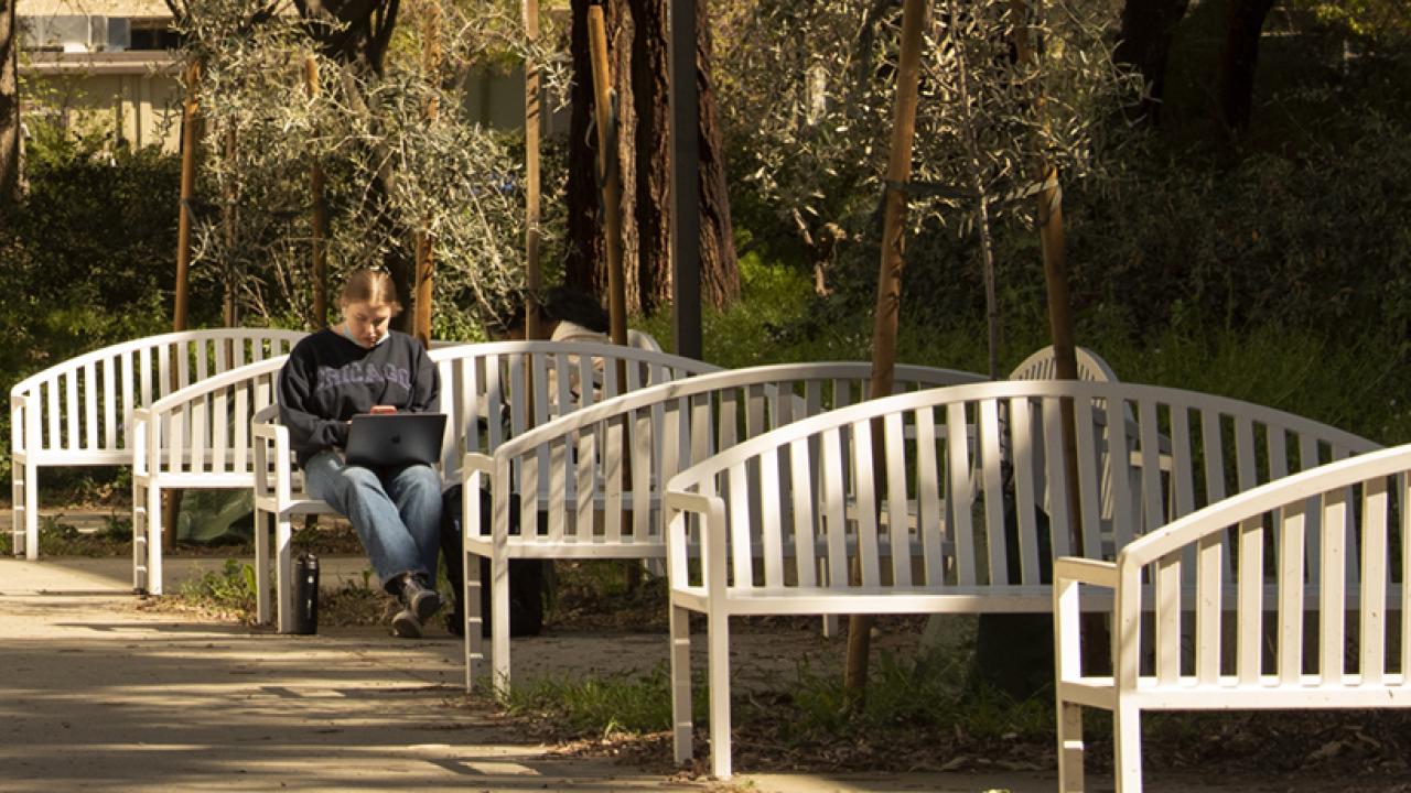 How to Dedicate a Bench in the Arboretum | UC Davis Arboretum and ...