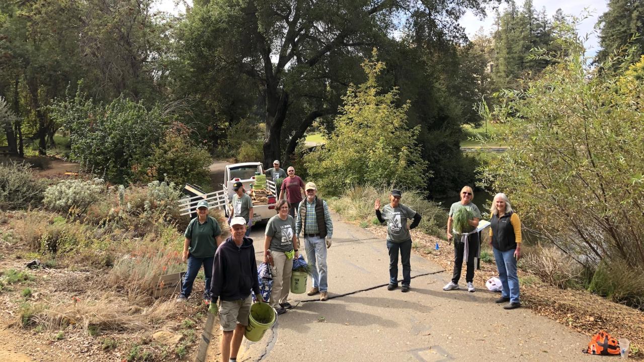 2024 Volunteer Recruitment | UC Davis Arboretum and Public Garden