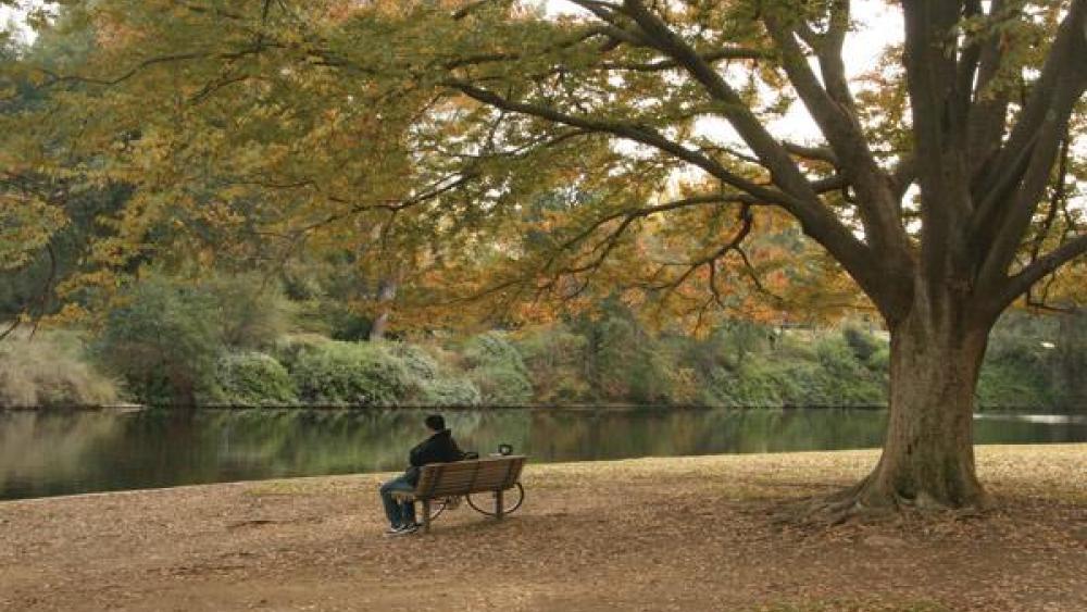 How to Dedicate a Bench in the Arboretum | UC Davis Arboretum and ...